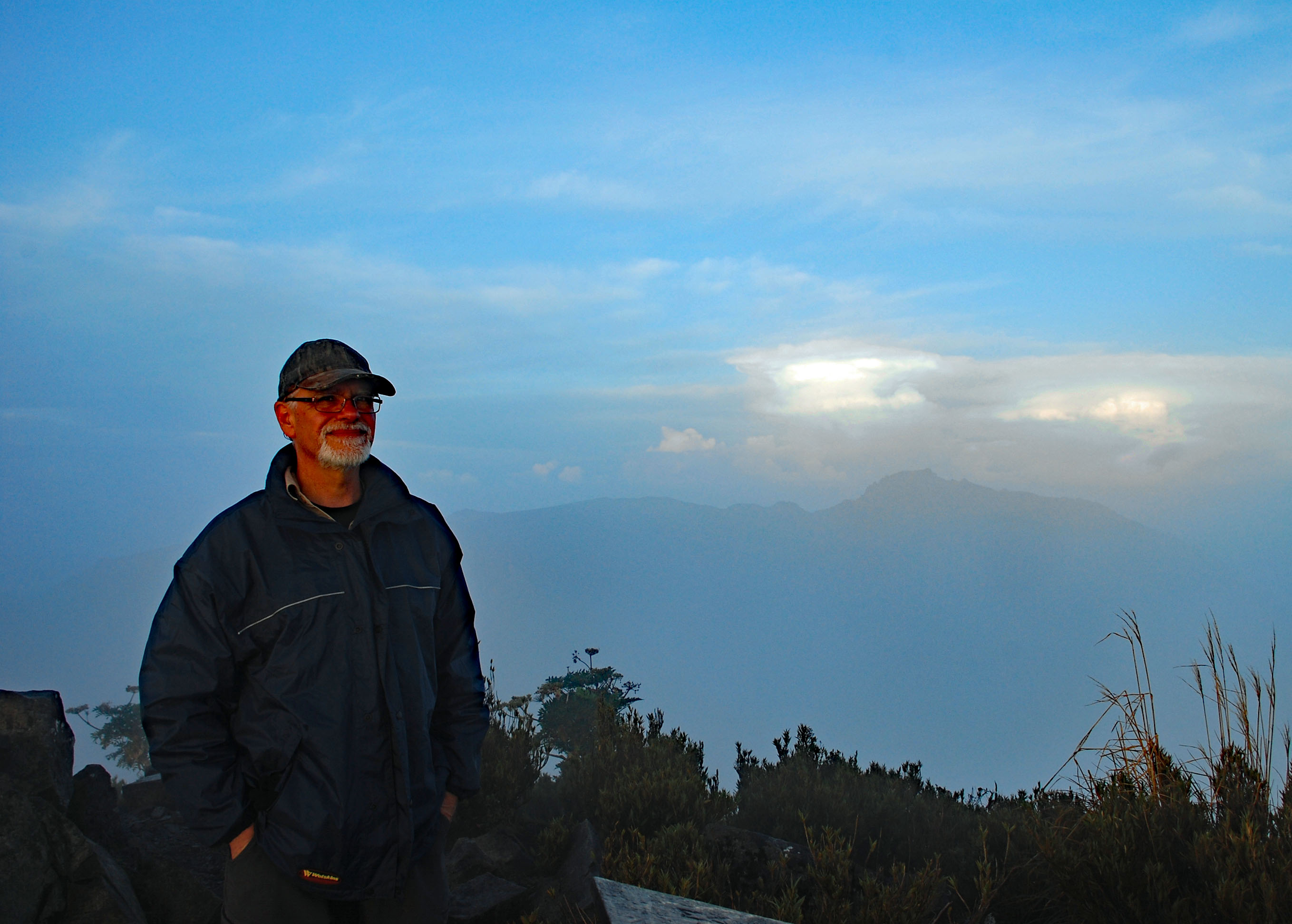 Stephen Emms - Official Website